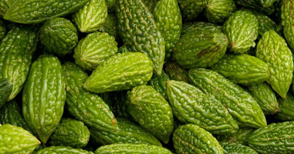 Bengali Dishes - Desi Fresh Foods